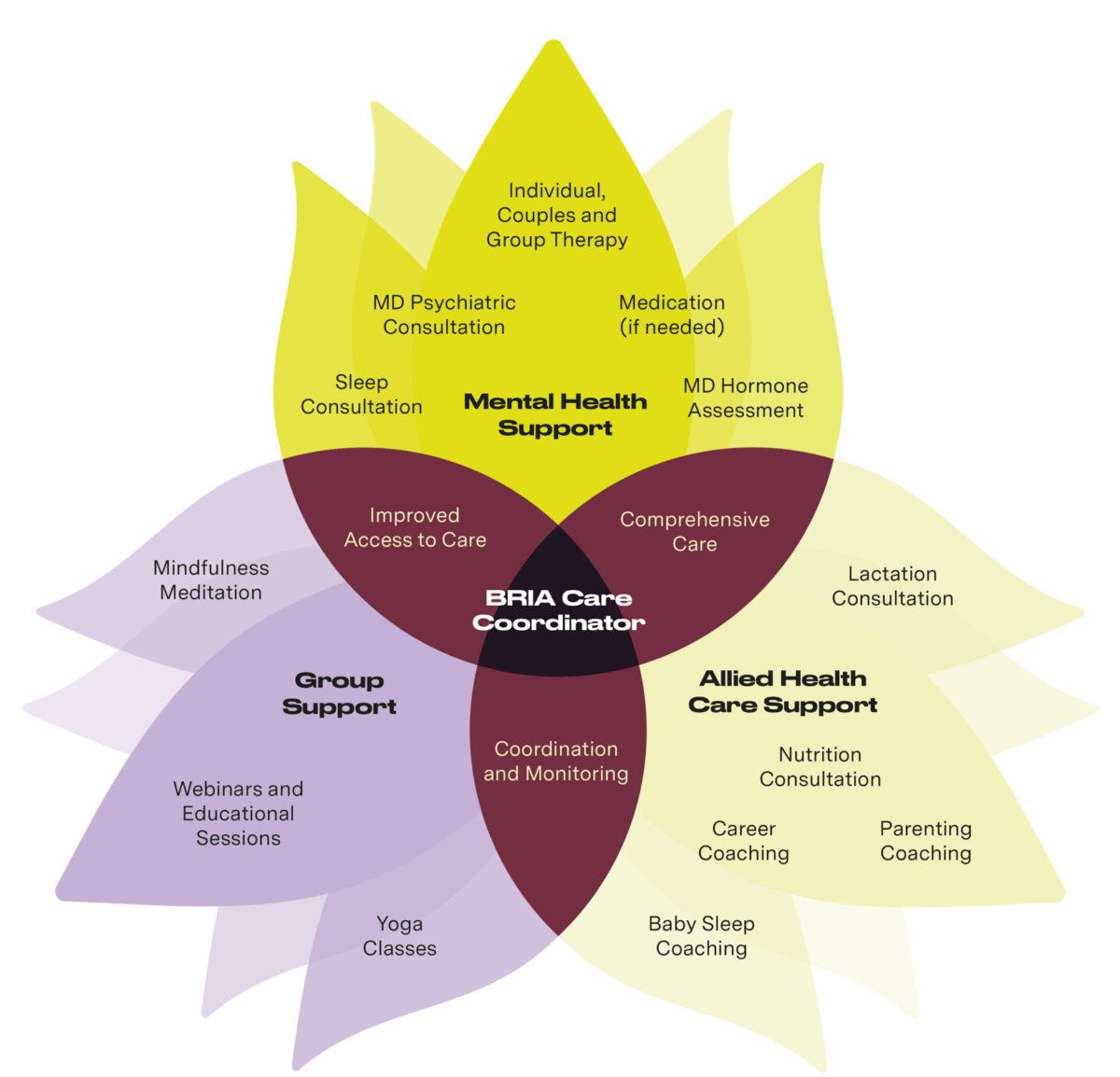 Care Coordinator | BRIA Virtual Mental Health Services for Women